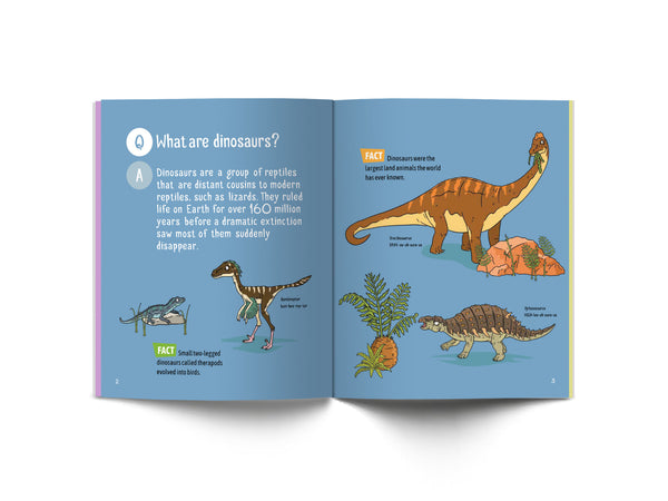 Dinosaur Questions & Answers – Birmingham Museums Trust