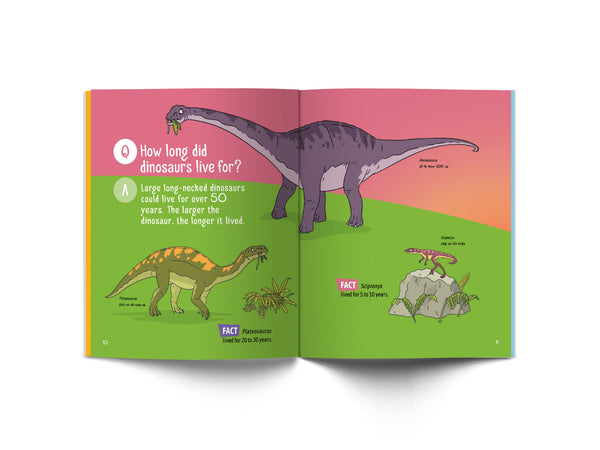 Dinosaur Questions & Answers – Birmingham Museums Trust