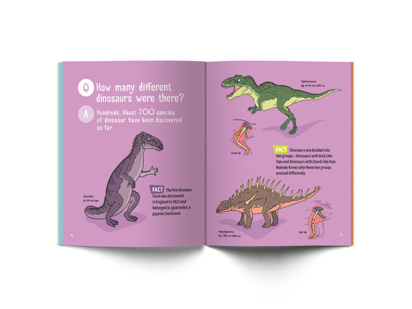 Dinosaur Questions & Answers – Birmingham Museums Trust