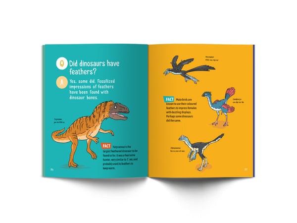 Dinosaur Questions & Answers – Birmingham Museums Trust