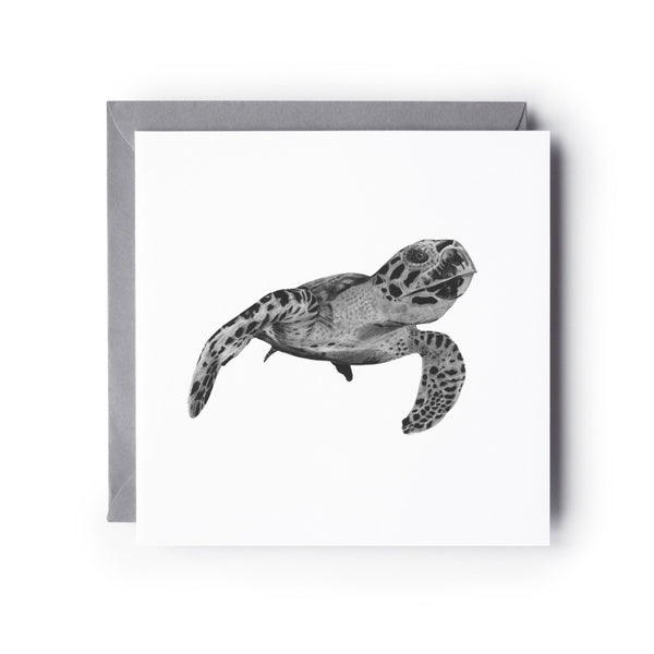 Turtle Card – Birmingham Museums Trust