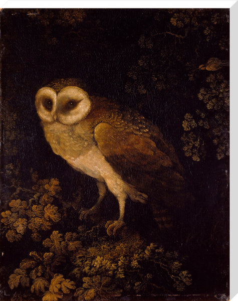 Moses Haughton: An Owl – Birmingham Museums Trust
