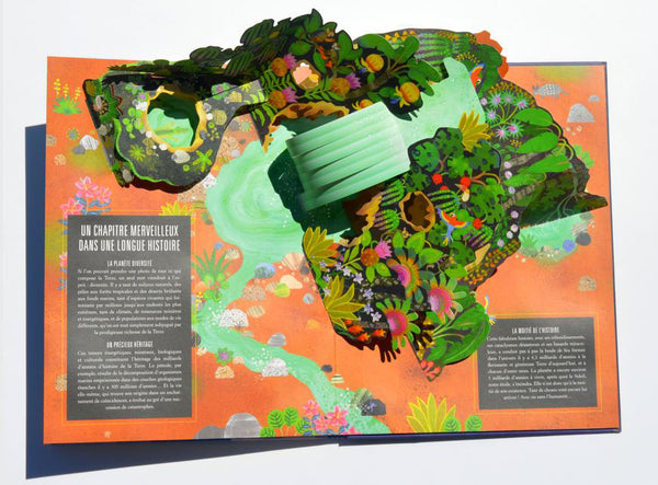 Pop-Up Earth – Birmingham Museums Trust