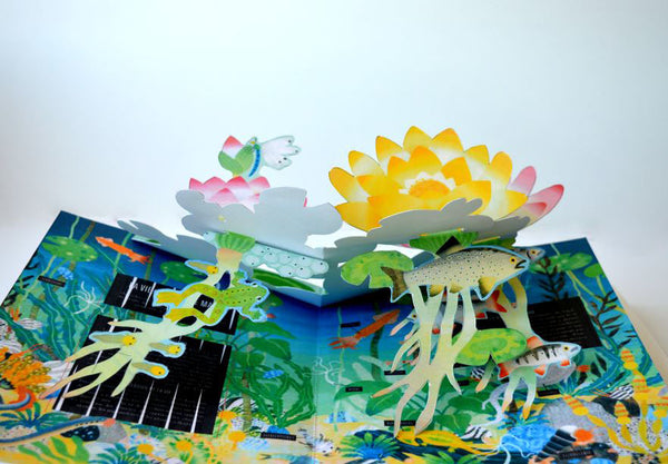 Pop-Up Earth – Birmingham Museums Trust