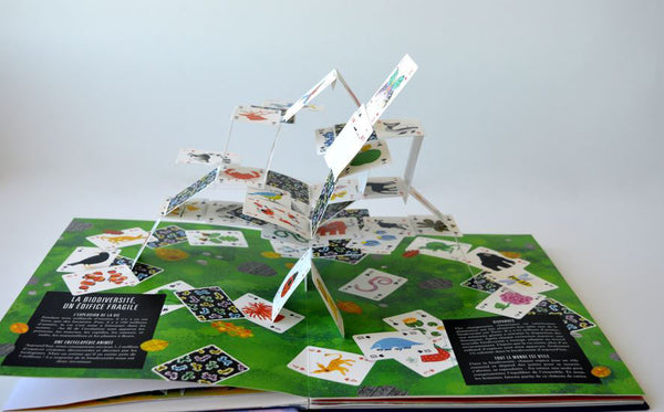 Pop-Up Earth – Birmingham Museums Trust