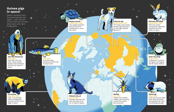 Wild Maps: A Nature Atlas for Curious Minds – Birmingham Museums Trust