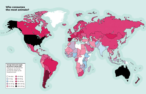 Wild Maps: A Nature Atlas for Curious Minds – Birmingham Museums Trust