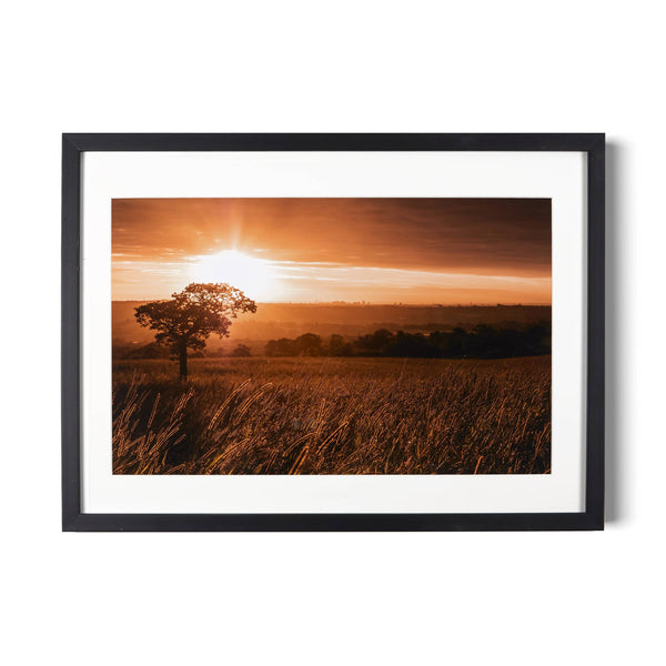 Lone Tree and the City Print – Birmingham Museums Trust