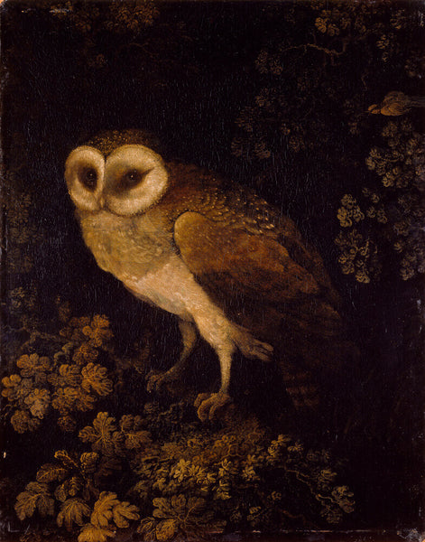 Moses Haughton: An Owl – Birmingham Museums Trust